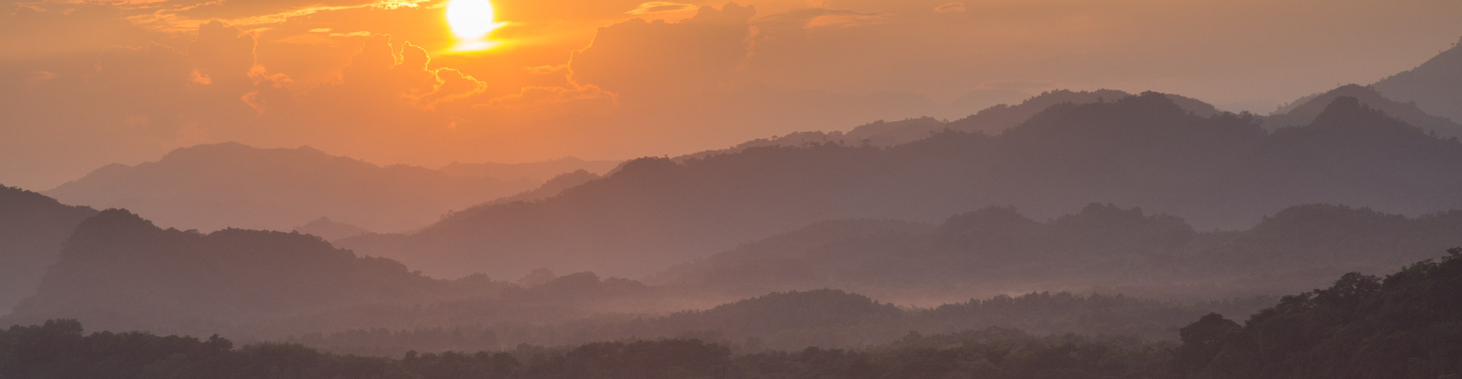 Golden Hour Photography Tips: Get The Most Of The Magical Light
