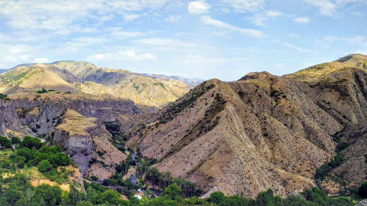 12 Incredible Wild Animals in Albania