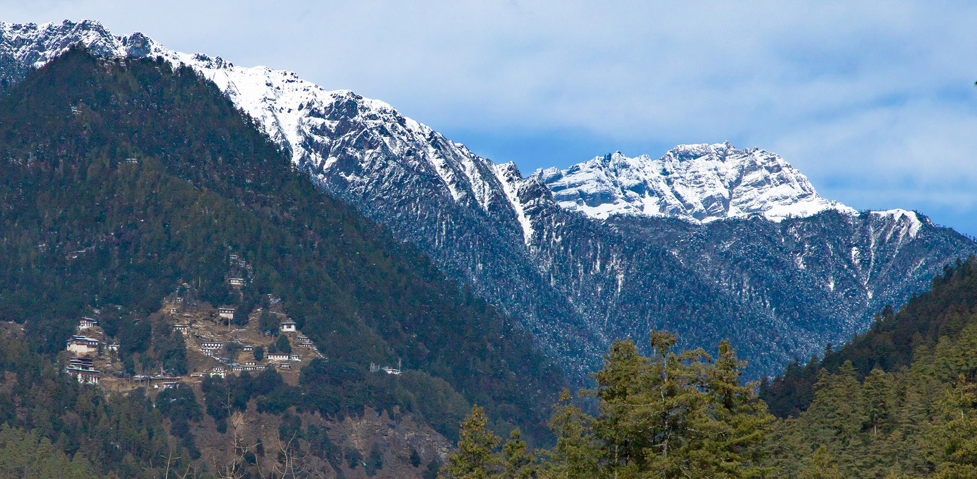 10 Incredible Wild Animals in Bhutan