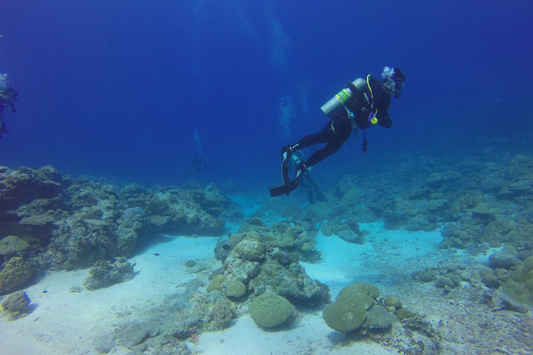 What is Skin Diving and What's The Difference With Freediving ...