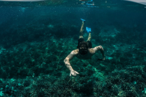 CO2 Tables and O2 Tables for Freediving - All You Need to Know