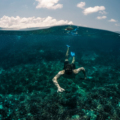 What is Skin Diving and What's The Difference With Freediving ...
