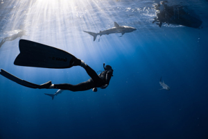 CO2 Tables and O2 Tables for Freediving - All You Need to Know