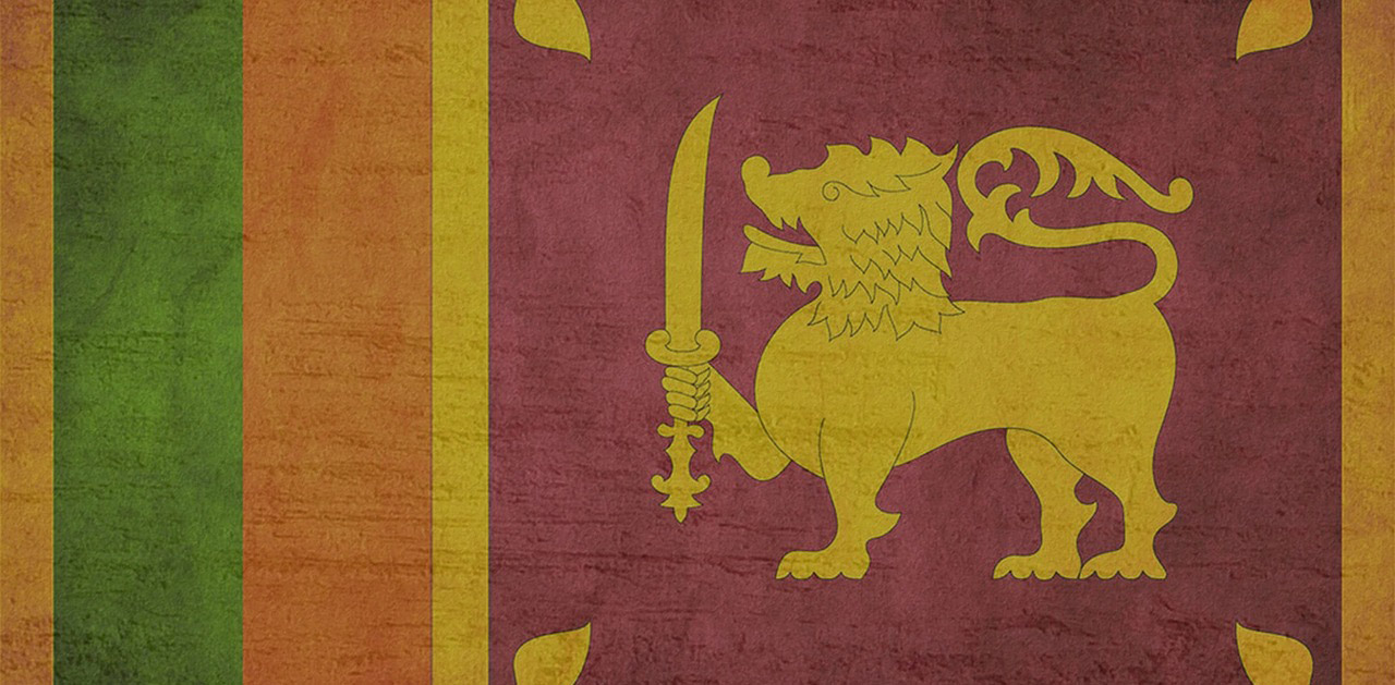 Types of Lions: An Overview of All Lion Subspecies and Populations