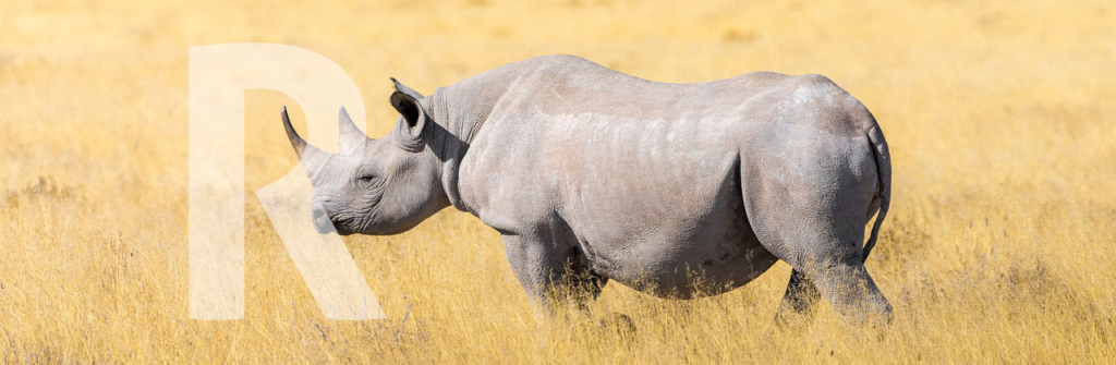 What Are Non-Mammals? What You Need to Know