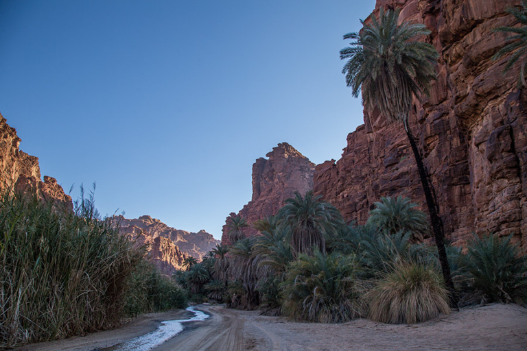 Wadi Al Disah, Saudi Arabia: Hiking The Valley of Palms - Complete Guide