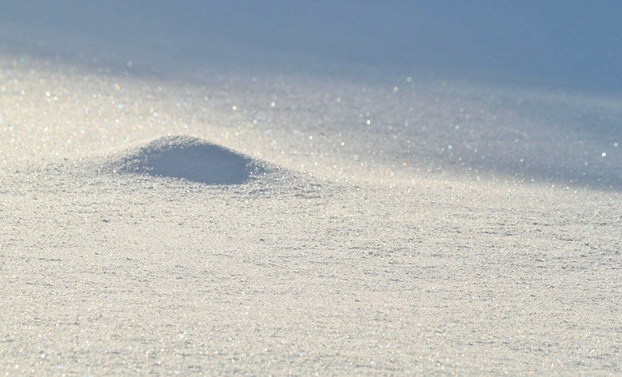 Snow Surfing: What Is It & How to Get Started?